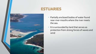 Marine ecosystem | PPTX