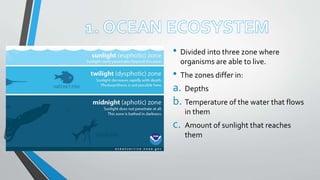 Marine ecosystem | PPT