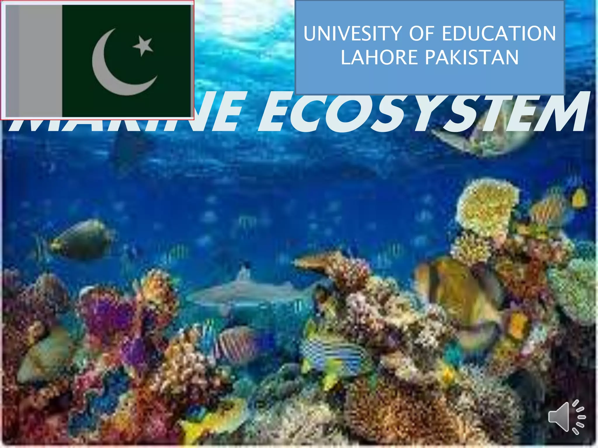 Marine ecosystem | PPTX | Zoos & Aquariums | Attractions