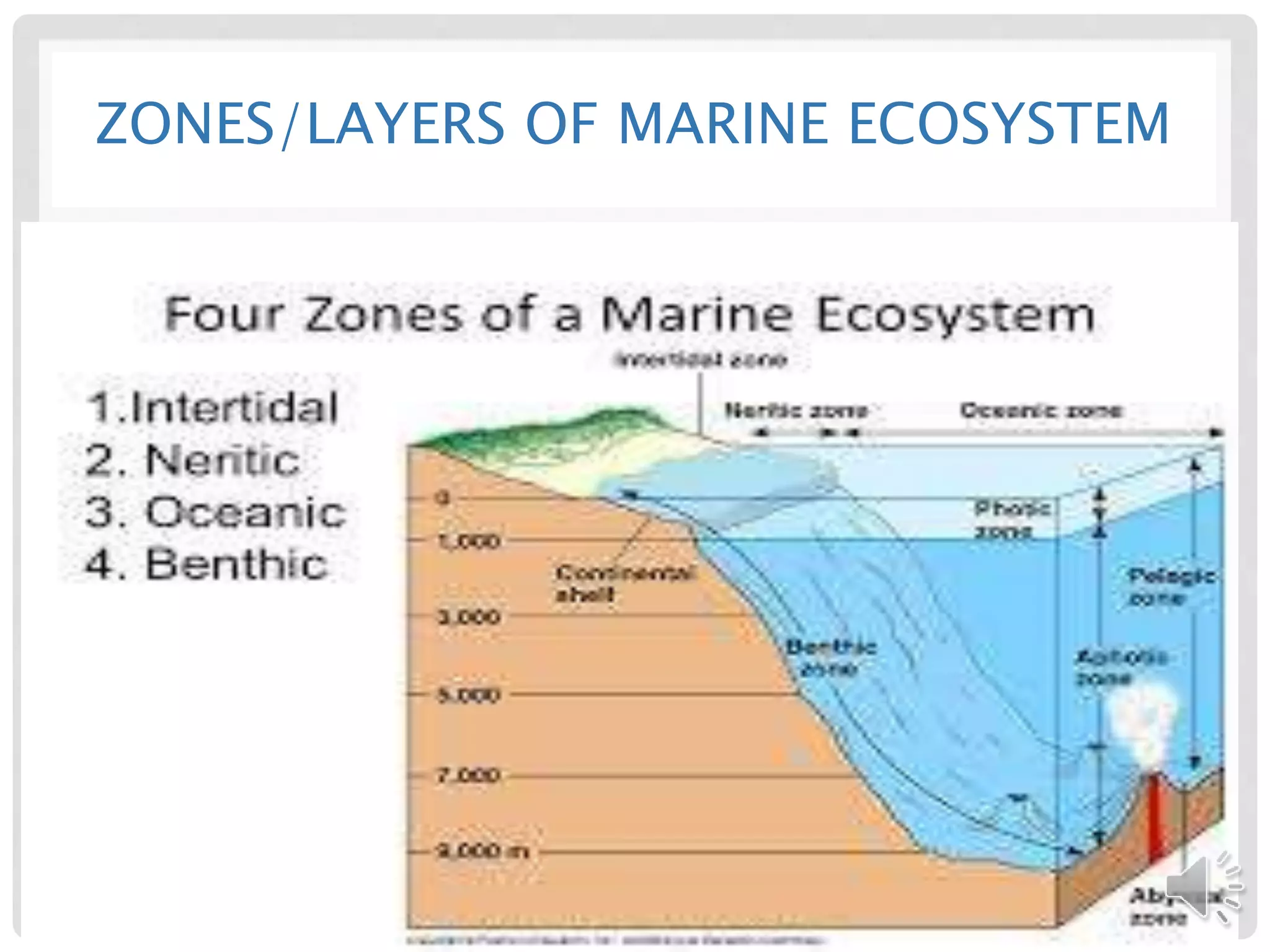 Marine ecosystem | PPTX | Zoos & Aquariums | Attractions