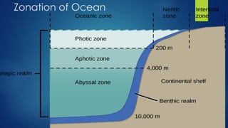 Marine ecosystem | PDF