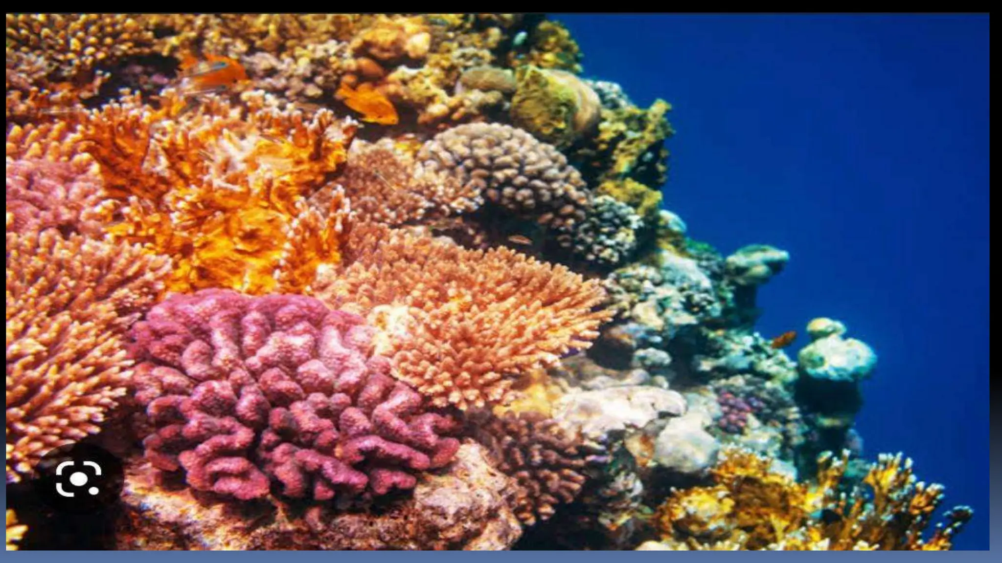 Marine Ecosystem.pptx