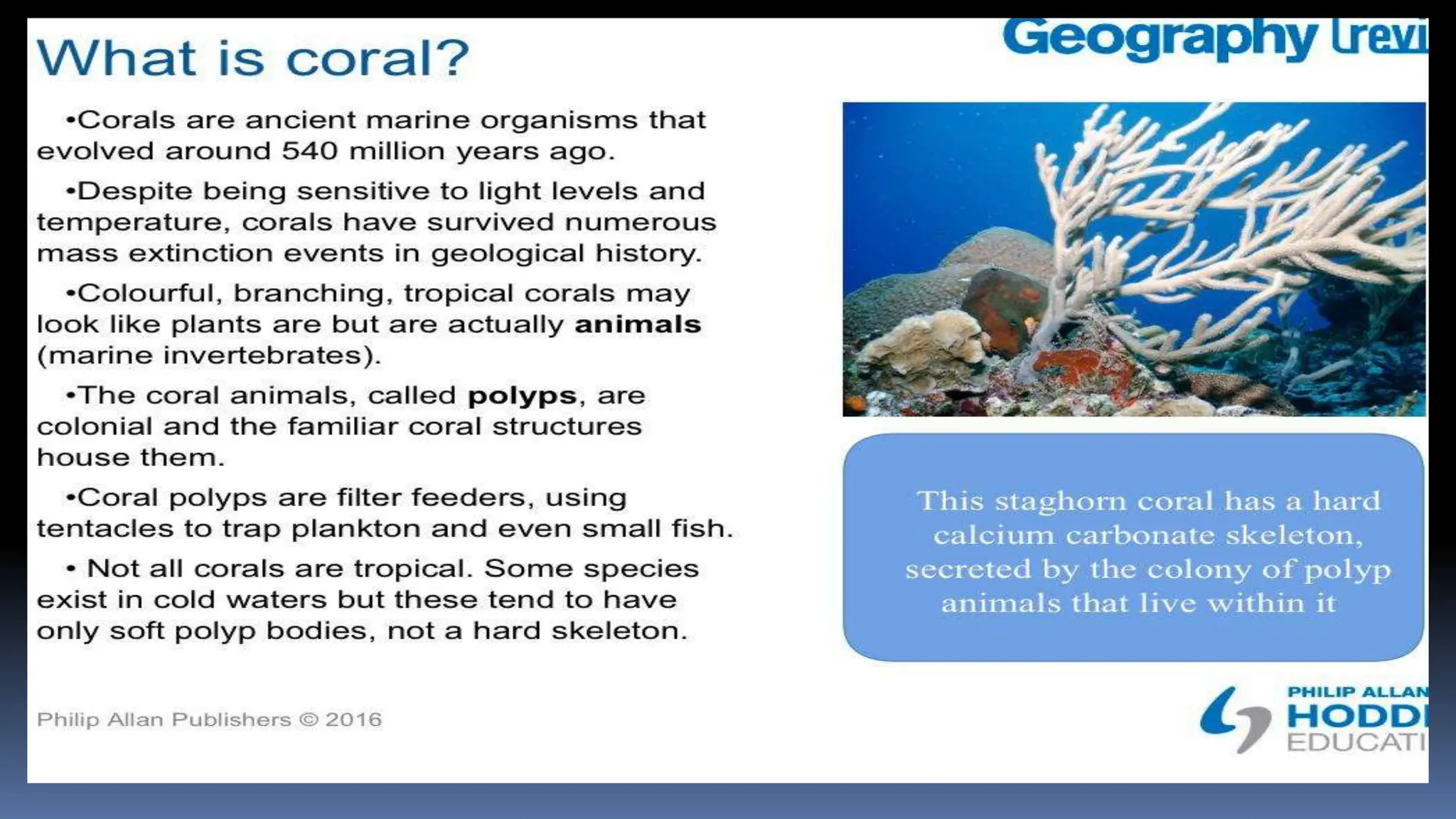 Marine Ecosystem.pptx