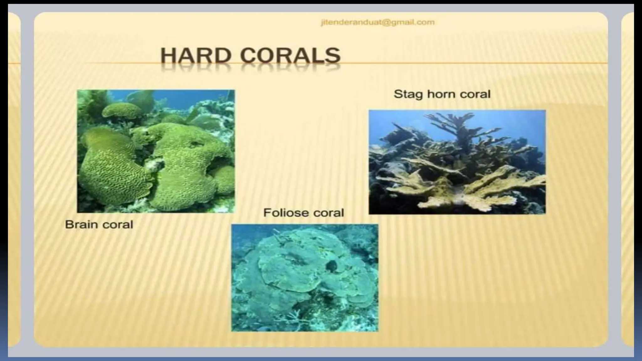 Marine Ecosystem.pptx