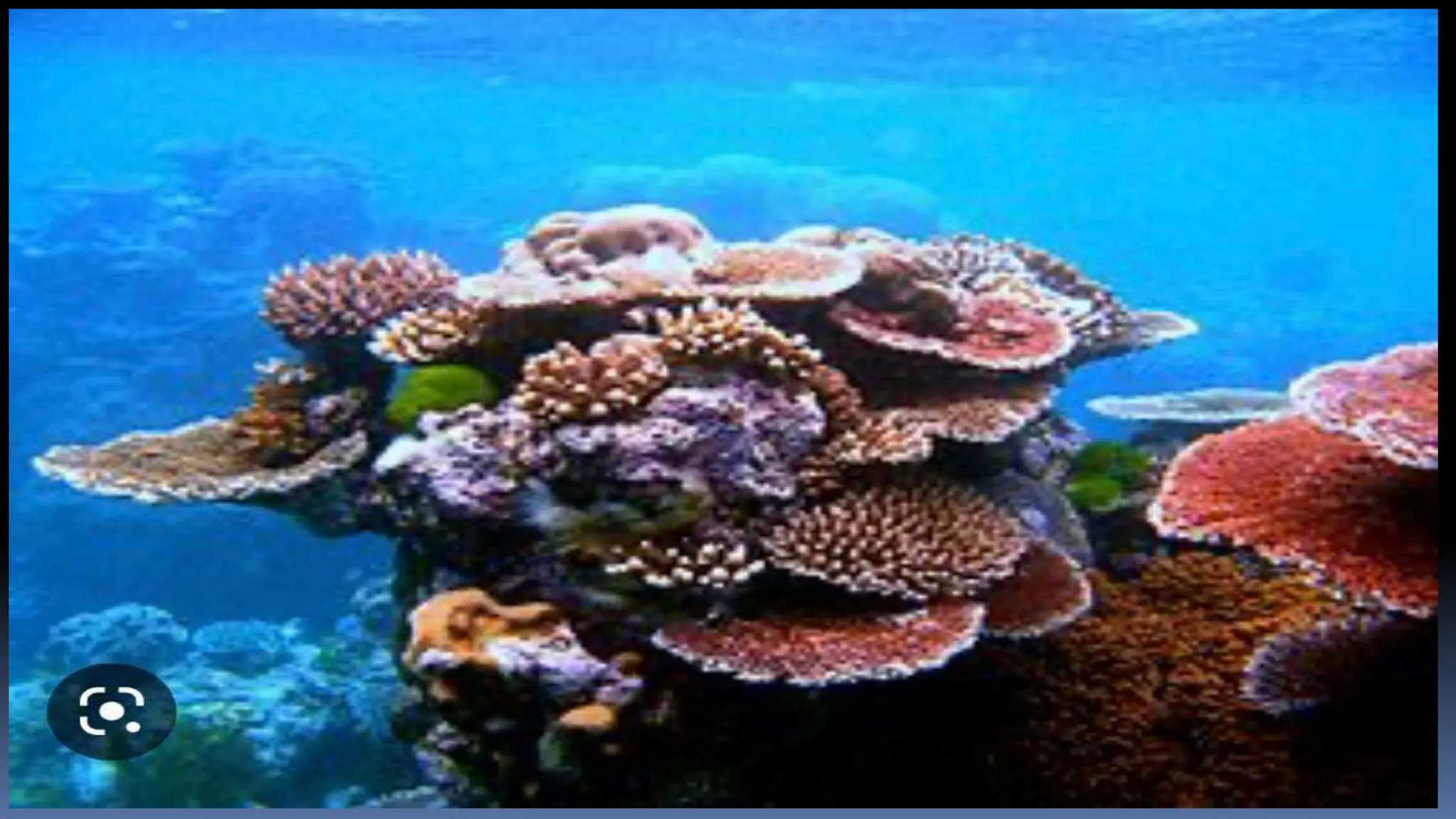 Marine Ecosystem.pptx