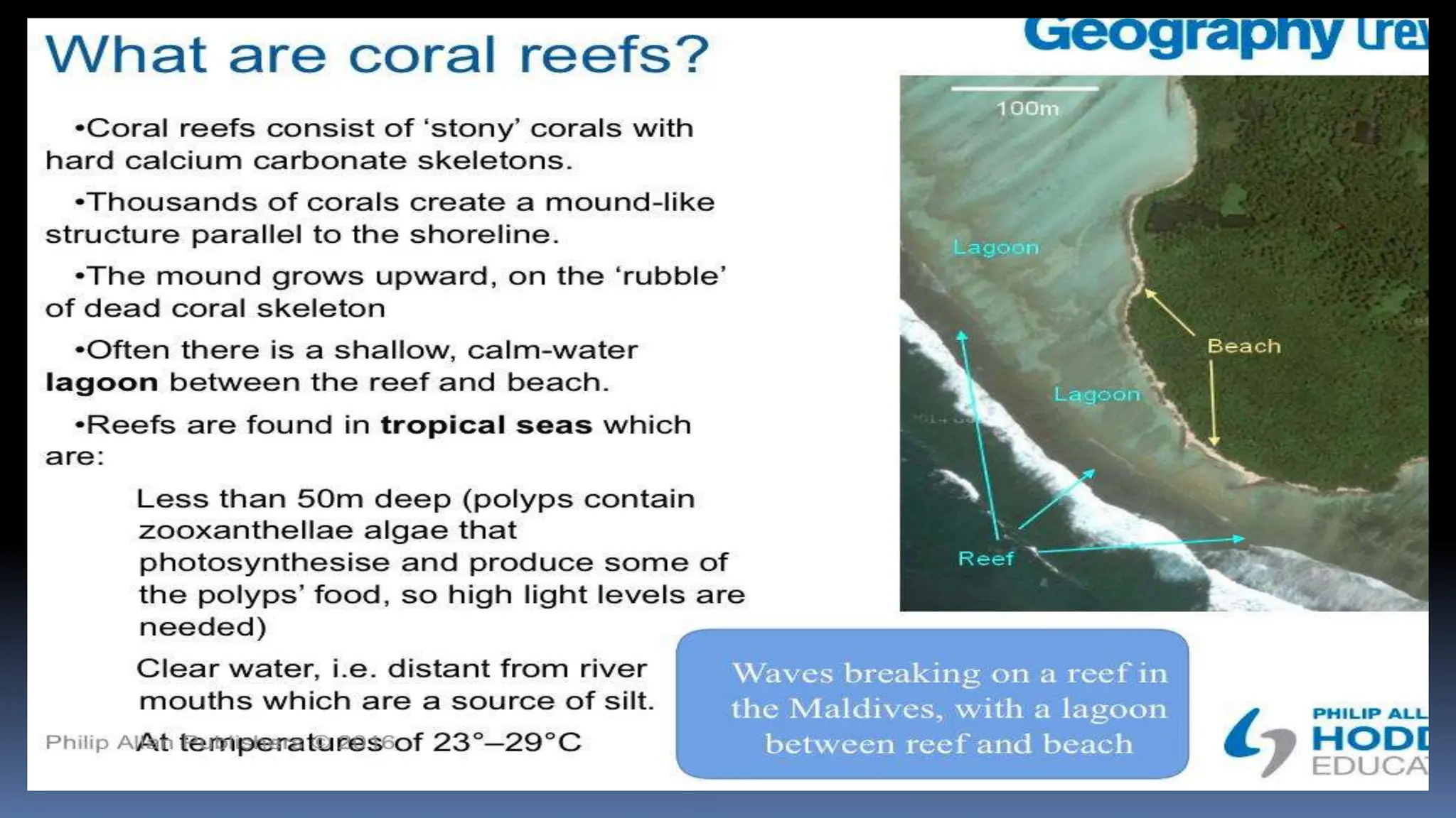 Marine Ecosystem.pptx