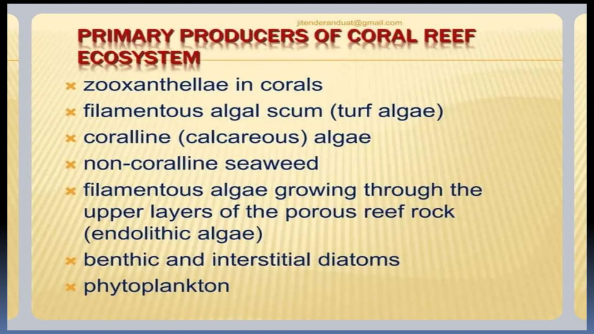 Marine Ecosystem.pptx