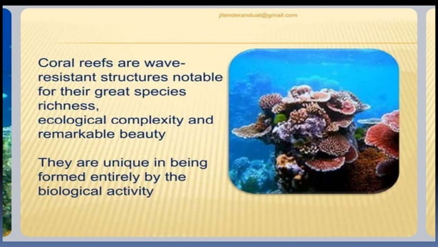 Marine Ecosystem.pptx
