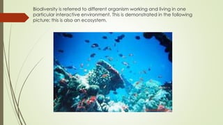 Marine ecosystem slide show created by Leasa Konza | PPTX