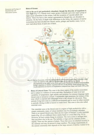Marine Ecosystem detailed explaination geo | PDF