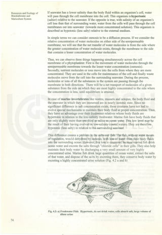 Marine Ecosystem detailed explaination geo | PDF