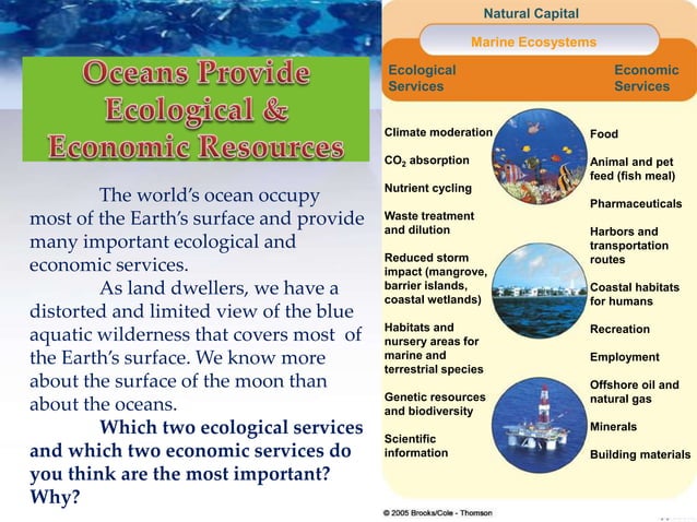 Marine Ecosystem | PPTX