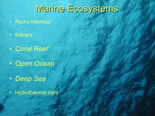 Marine Ecosystems | PPT