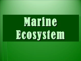 Marine ecosystems | PPT