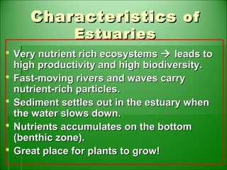 Marine ecosystems | PPT