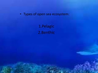 Marine ecosystem | PPTX
