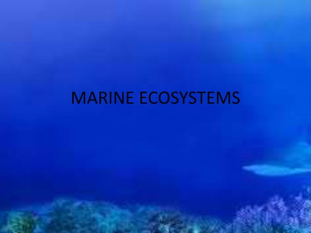 Marine ecosystem | PPT