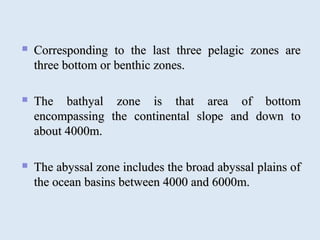 Marine environment 08.01.2019