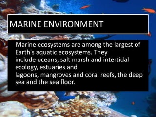 Marine environment & agenda 21 | PPTX