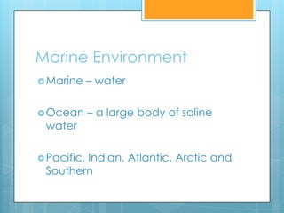 Marine environments | PPTX