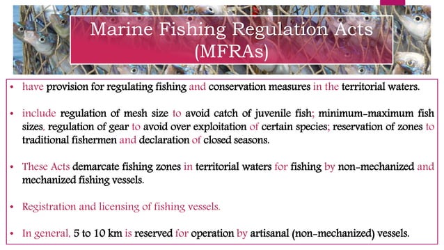 Marine fisheries regulation act (mfra), and its amendments of gujrat ...