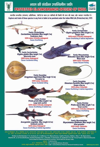 Marine fisheries resources and marine species of India.pdf
