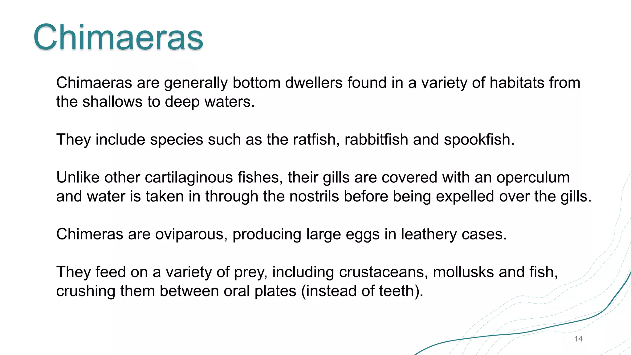 MARINE FISHES [Autosaved].pptx