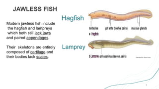 MARINE FISHES [Autosaved].pptx