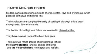 MARINE FISHES [Autosaved].pptx