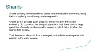 MARINE FISHES [Autosaved].pptx