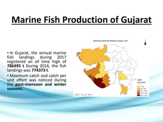 Marine Fish Production of Gujarat 2017.pptx