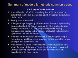 Marine fish stock assessment_models | PPT
