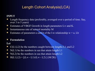 Marine fish stock assessment_models | PPT