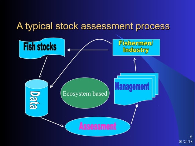 Marine fish stock assessment_models | PPT