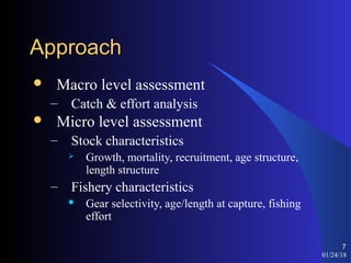 Marine fish stock assessment_models | PPT