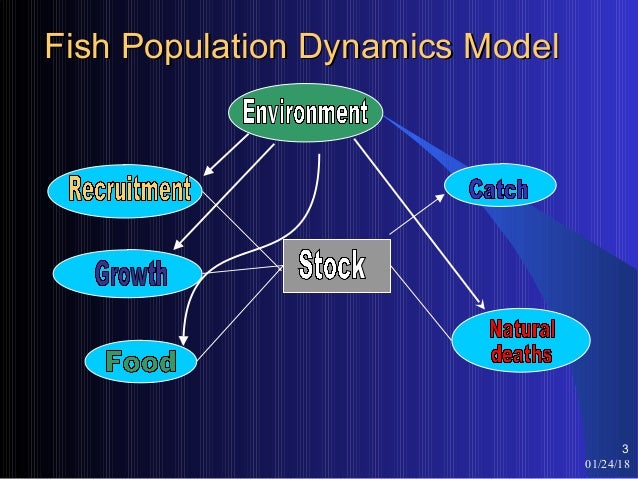 Marine fish stock assessment_models
