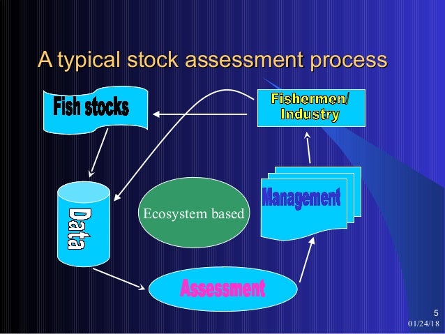 Marine fish stock assessment_models