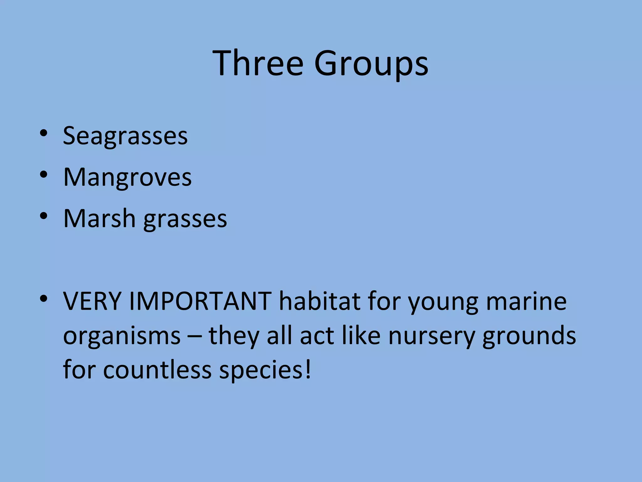 Marine flowering plants | PPT