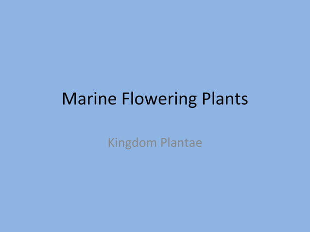 Marine flowering plants | PPT