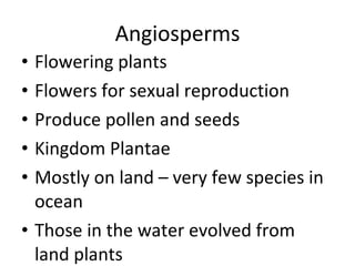 Marine flowering plants powerpoint | PPT