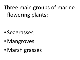 Marine flowering plants powerpoint | PPT
