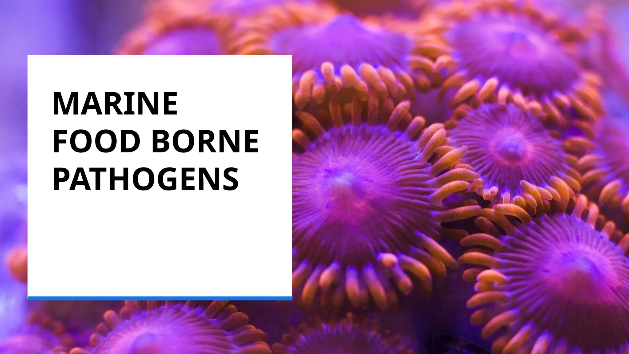 marine food borne pathogens and their effects | PPTX