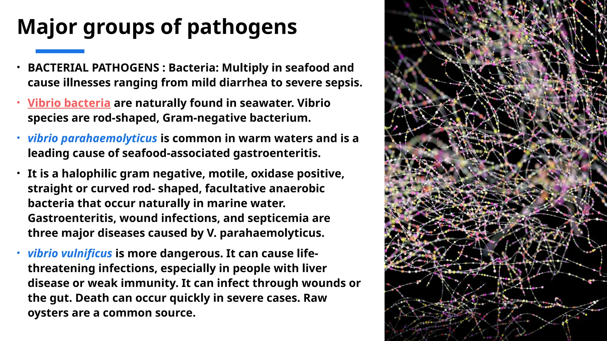 marine food borne pathogens and their effects | PPTX