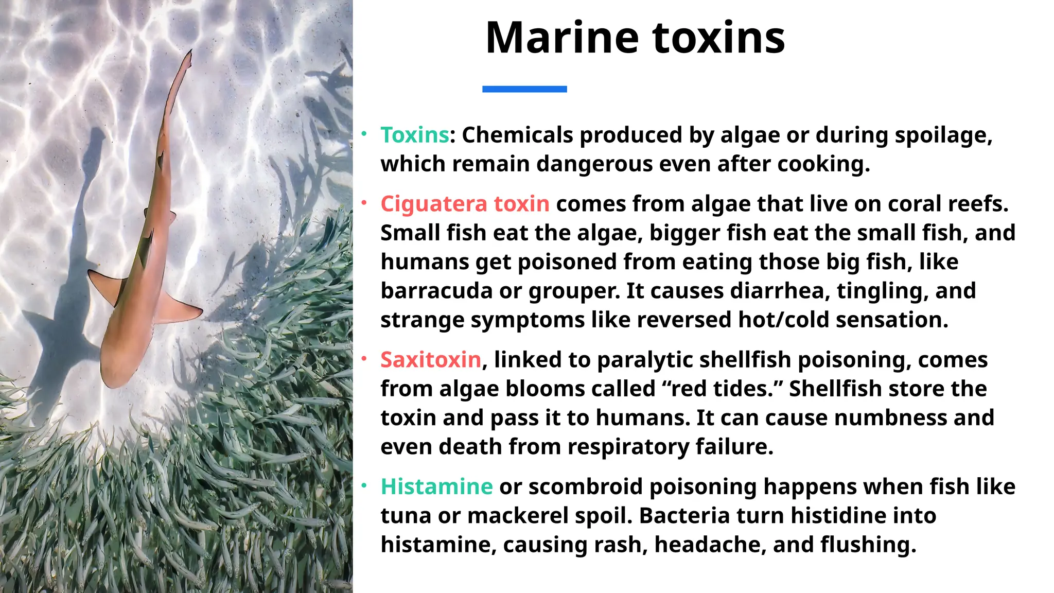 marine food borne pathogens and their effects | PPTX