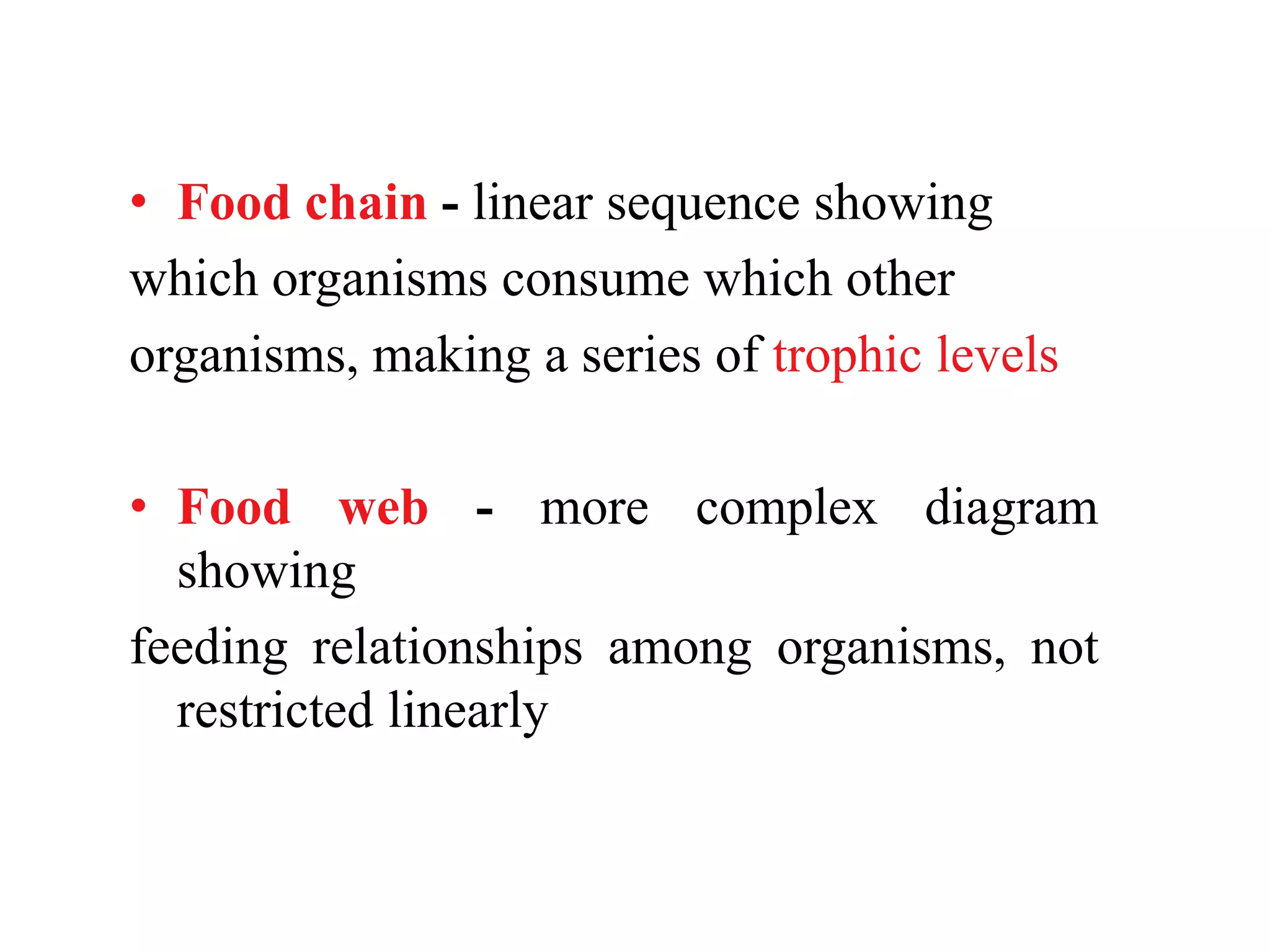 Marine food chain | PPTX