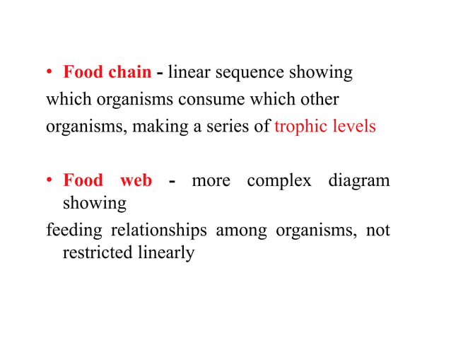 Marine food chain | PPTX