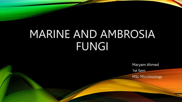 marine fungi.pptx