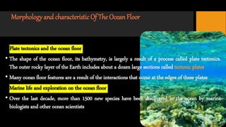 Marine geology | PPTX