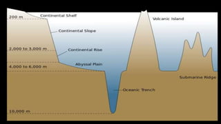 Marine geology | PPTX