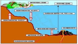 Marine geology | PPTX